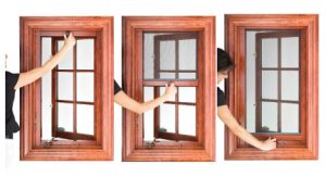 Screen Options | Norwood Windows and Doors - Never Ordinary!